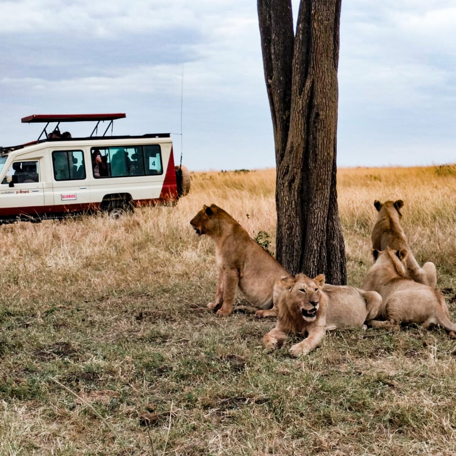 Pollman’s Tours & Safaris Named Kenya’s Leading Destination Management ...