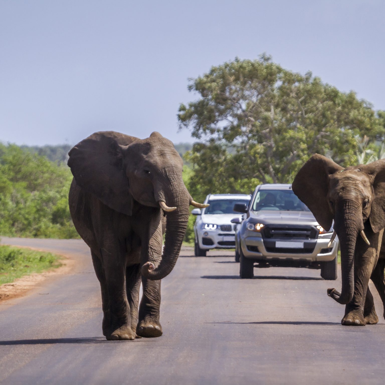 Travaleur Group Launches ‘Drive Into The Wild’ for Unique East Africa ...