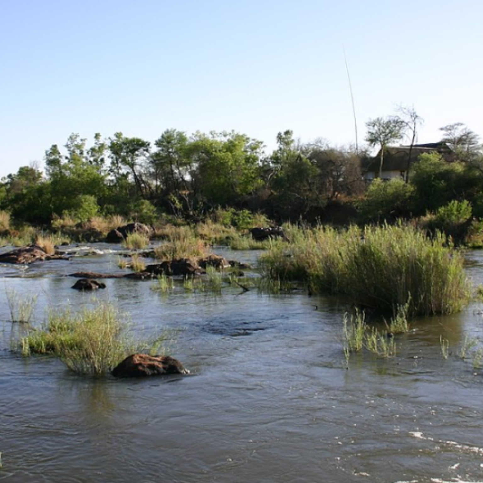Flooding Forces Temporary Closure of Madikwe Lodges – APTA