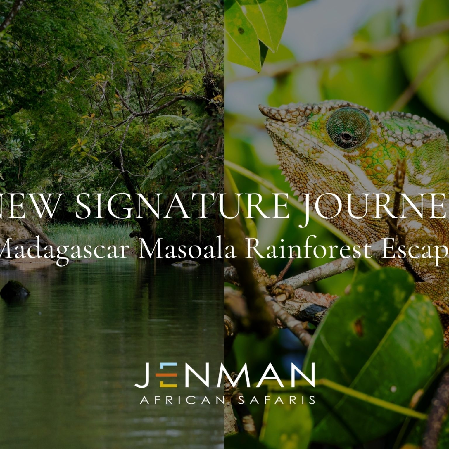 Madagascar Masoala Rainforest Escape: A New Signature Journey by Jenman ...